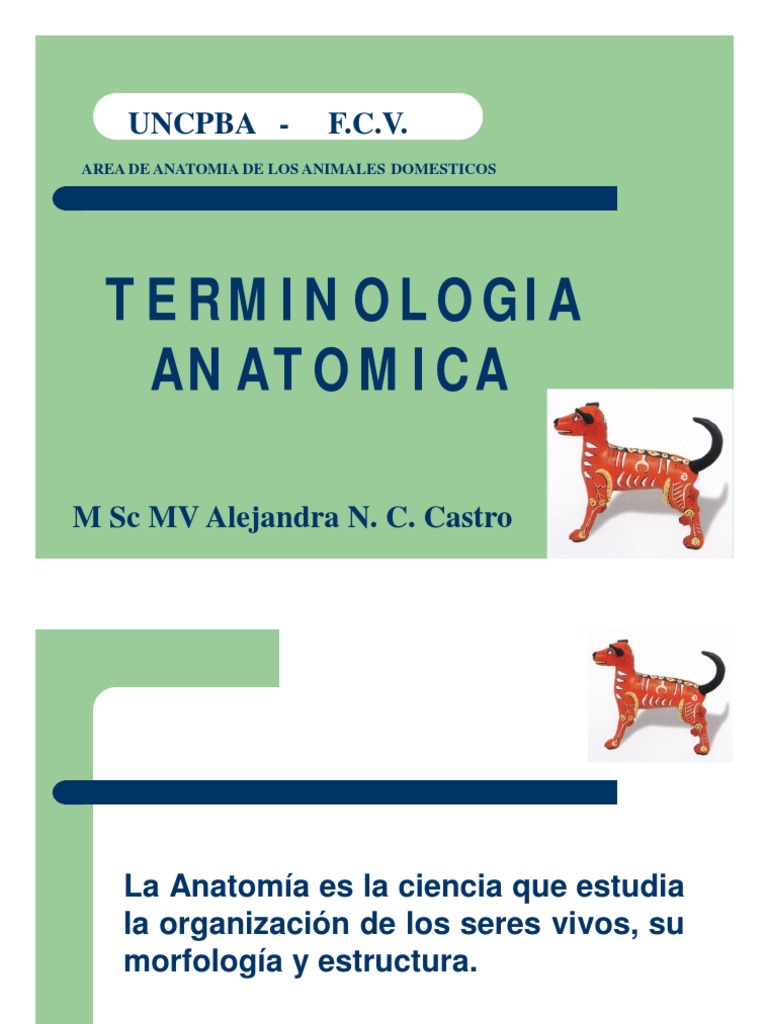 terminologia anatomica.pdf | Términos anatómicos de la ubicación | Zoología