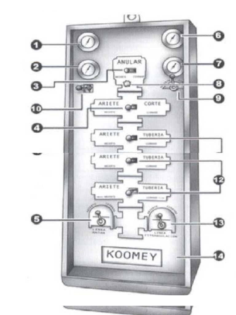 Koomey | PDF