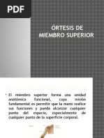 Intervalo Rotador | PDF | Hombro | Extremidades (anatomía)