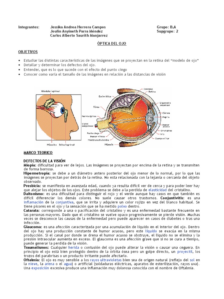 Optica Del Ojo | PDF | Ojo humano | Óptica