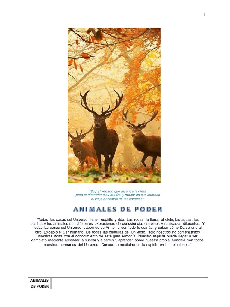 Animales de Poder y sus Mensajes | PDF | Chamanismo | Oración