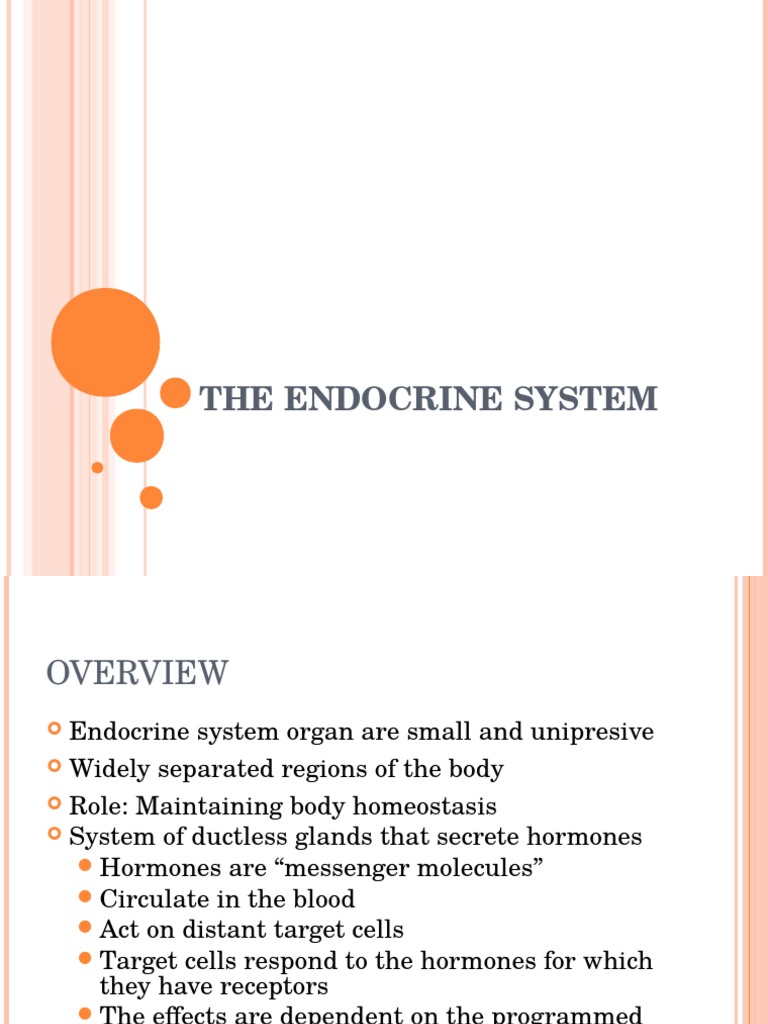 Chapter 8 The Endocrine System | PDF | Adrenal Gland | Endocrine System