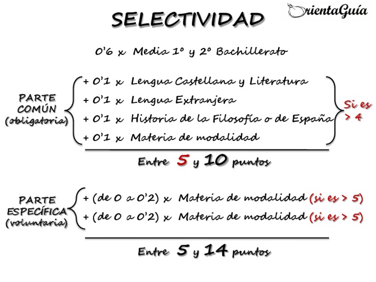 Esquema de La Selectividad | PDF