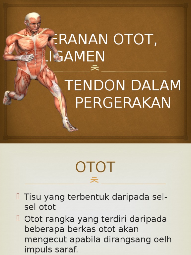 Peranan Otot, Ligamen Dan Tendon | PDF