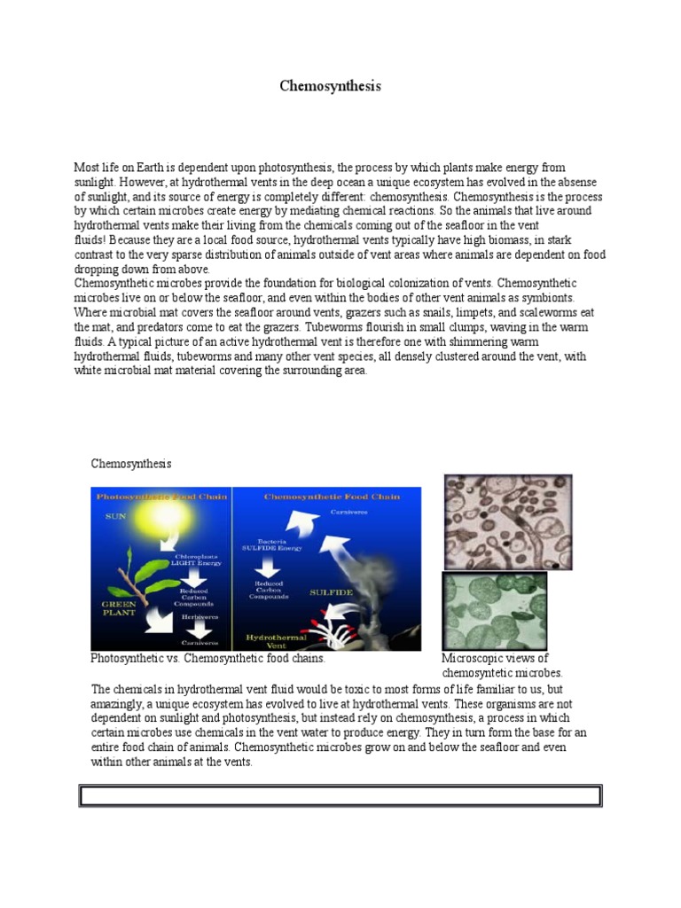 Chemosynthesis | PDF | Hydrothermal Vent | Botany