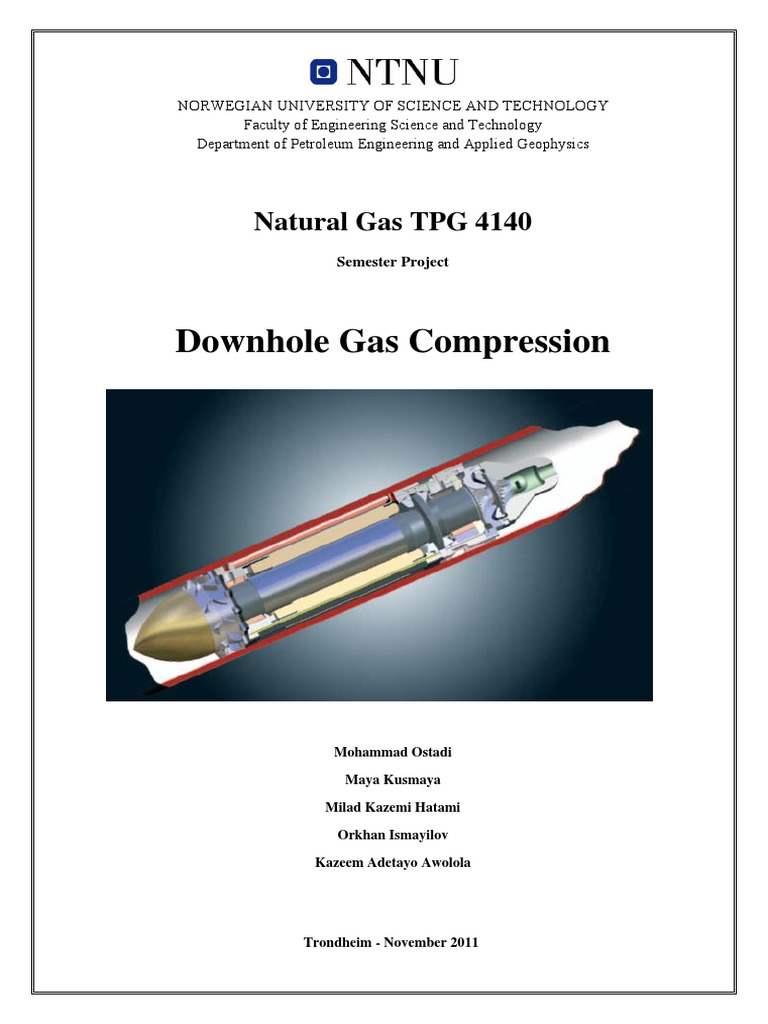 Downhole Gas Compression | PDF | Natural Gas | Petroleum Reservoir