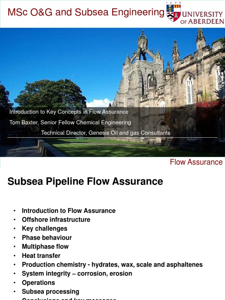 Flow Assurance Introduction | PDF | Natural Gas | Fluid Dynamics