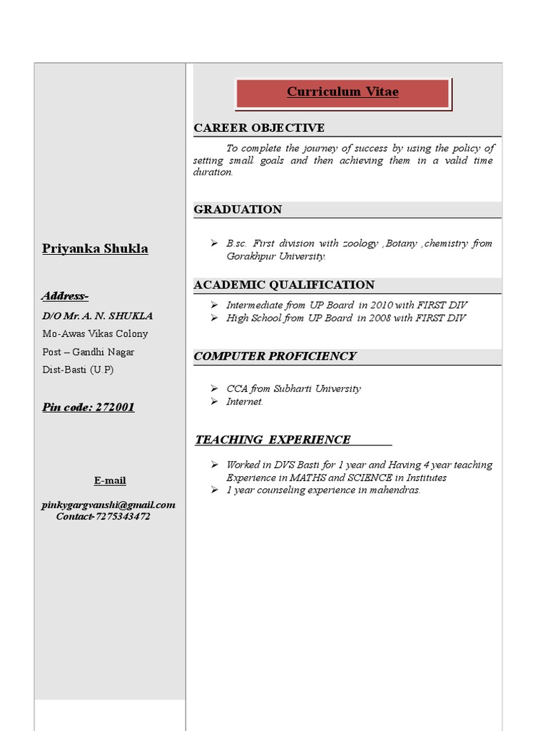 Curriculum Vitae: Career Objective | PDF