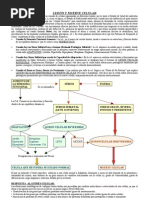 Diaz Apaza Anthony Jesus-Diascopia - Vitropresion | PDF ...