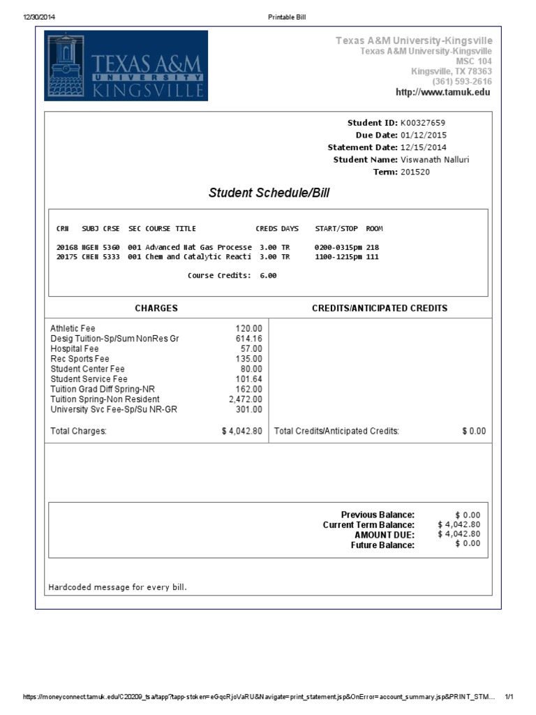 Student Schedule/Bill: Texas A&M University Kingsville | PDF | Career ...