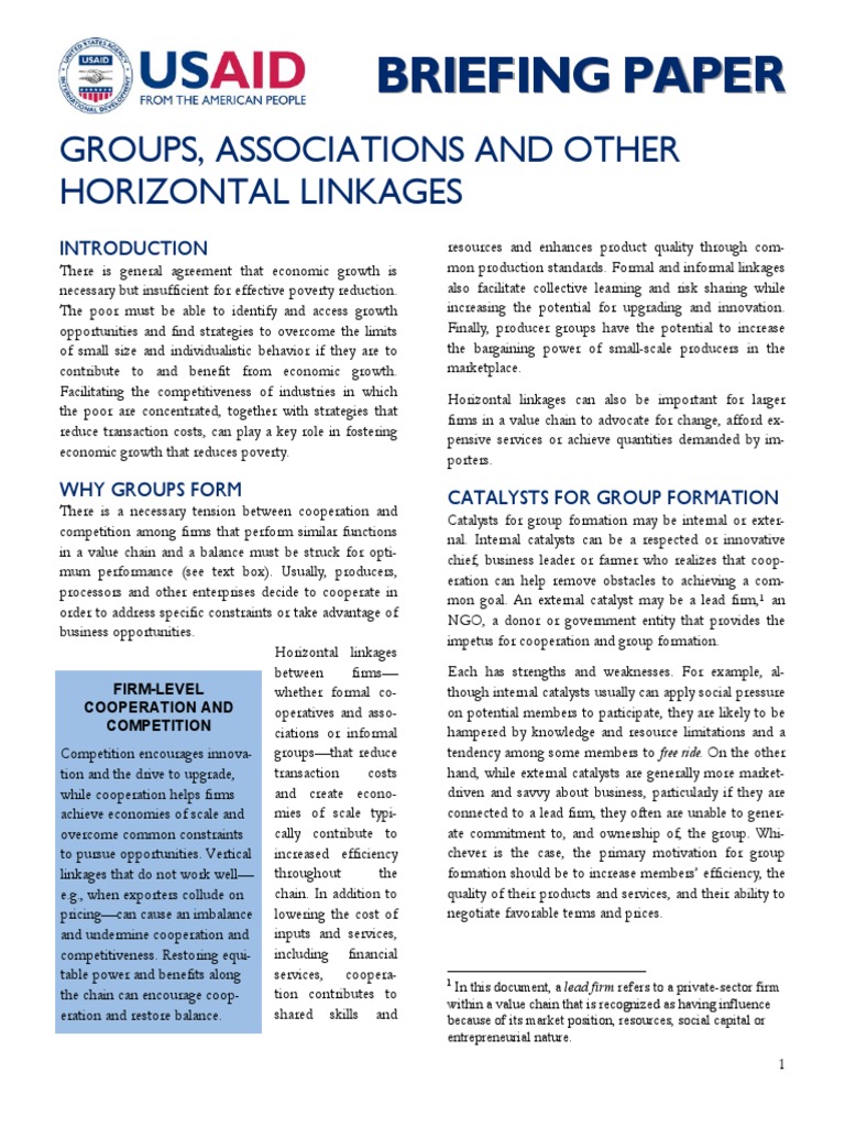 Strengthening The Vertical Linkages | PDF | Competitiveness | Social ...