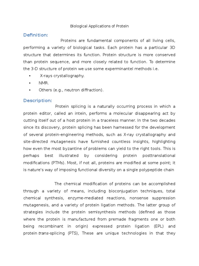Definition:: Biological Applications of Protein | PDF | Proteins ...
