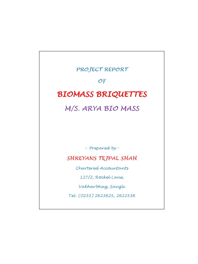Project Report For Biomass Briquetting | PDF | Loans | Economies