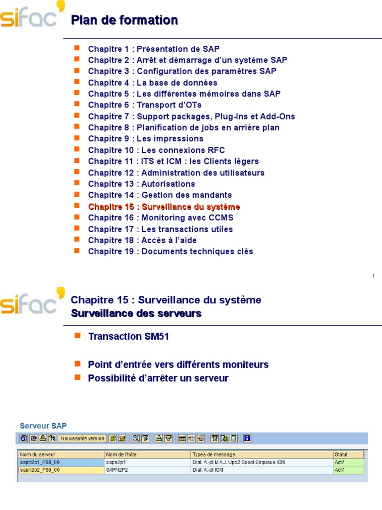 Surveillance Du Système SAP | Application | Serveur (Informatique)