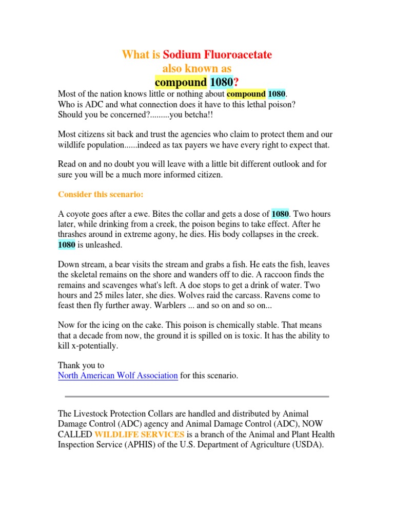 What Is Also Known As: Compound 1080 | Download Free PDF | Ribosome ...