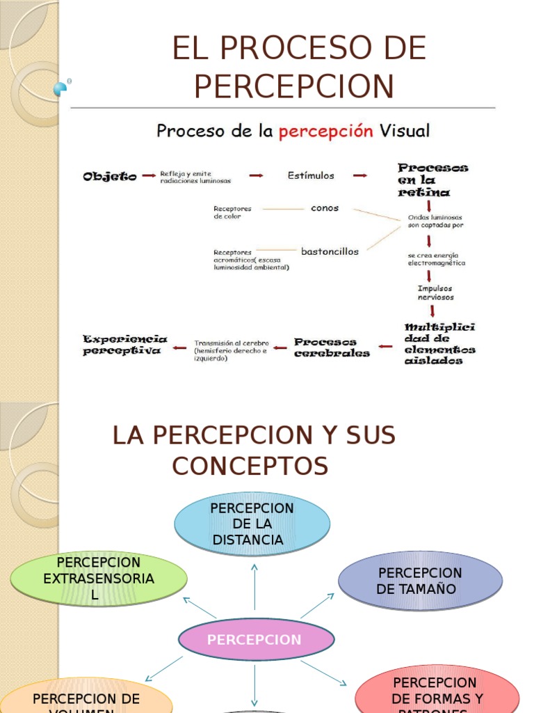 El Proceso de Percepcion | PDF