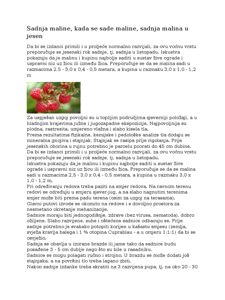 Sadnja Maline | PDF