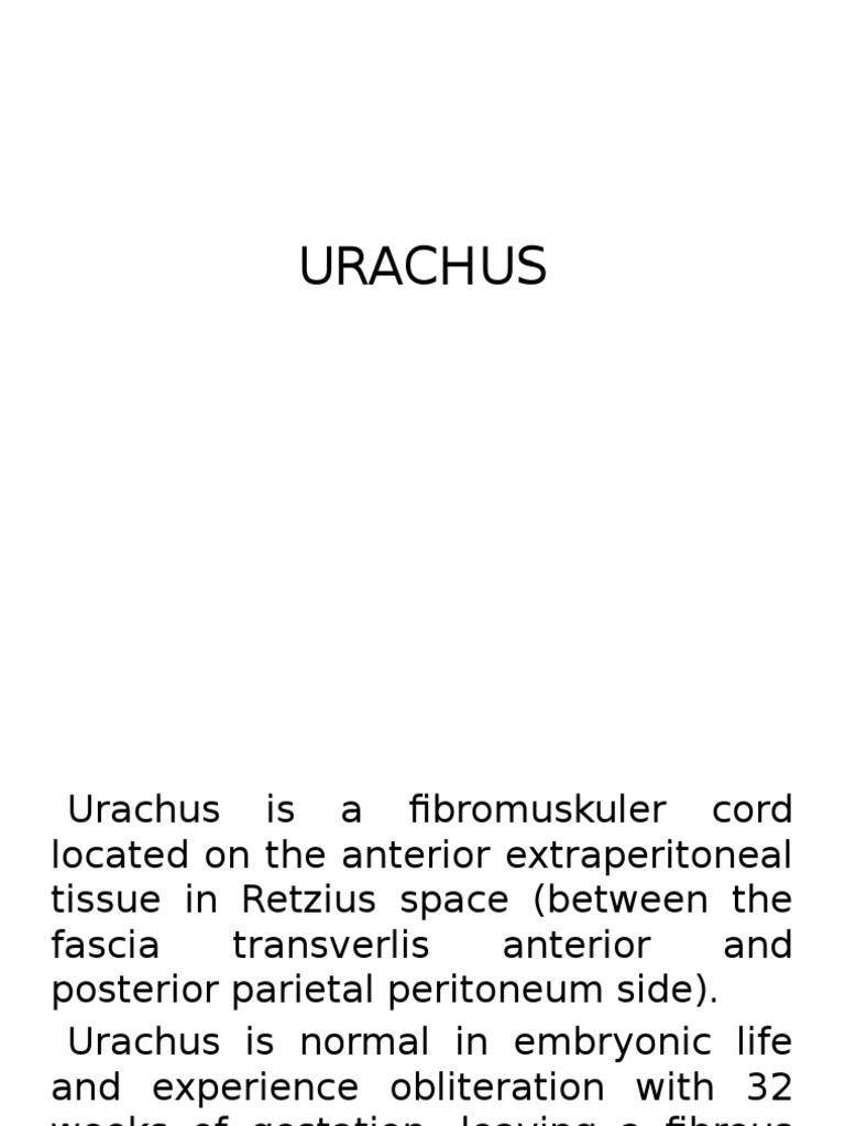 URACHUS | PDF | Urinary Bladder | Epithelium