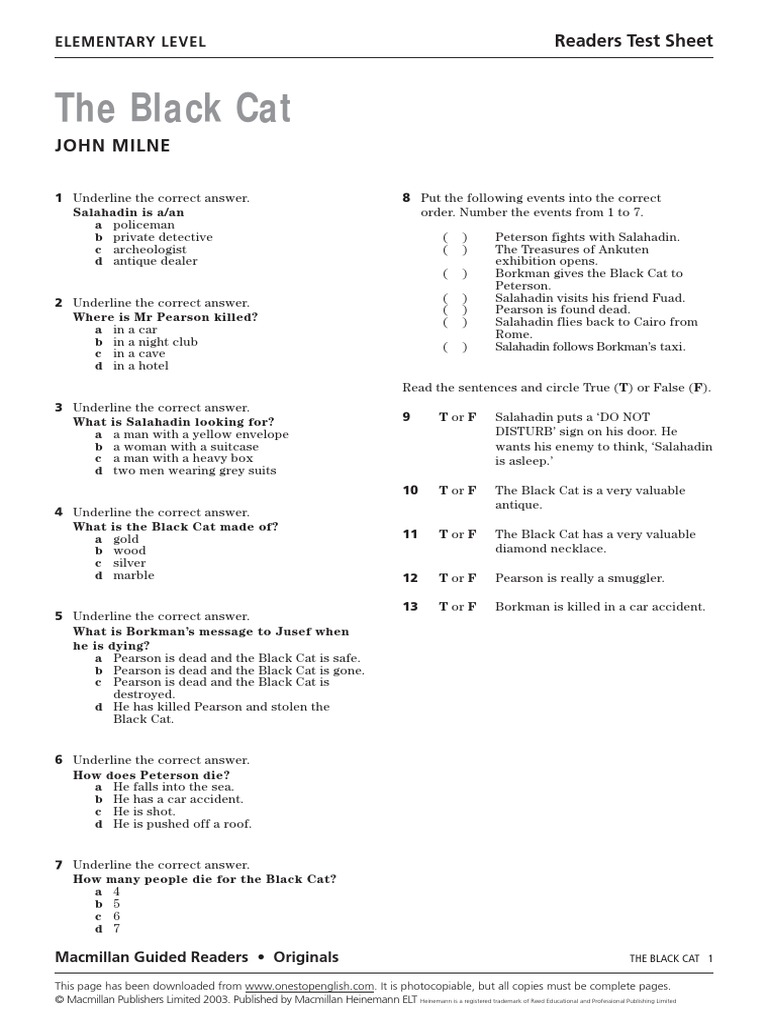 The Black Cat Test | PDF