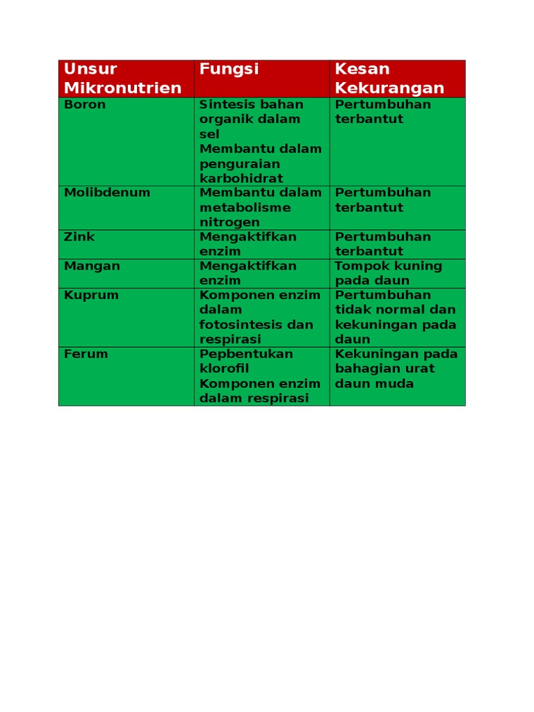 Unsur Mikronutrien | PDF