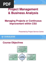 BusinessAnalysis - Space Project Transition To BAU Plan Template | PDF ...