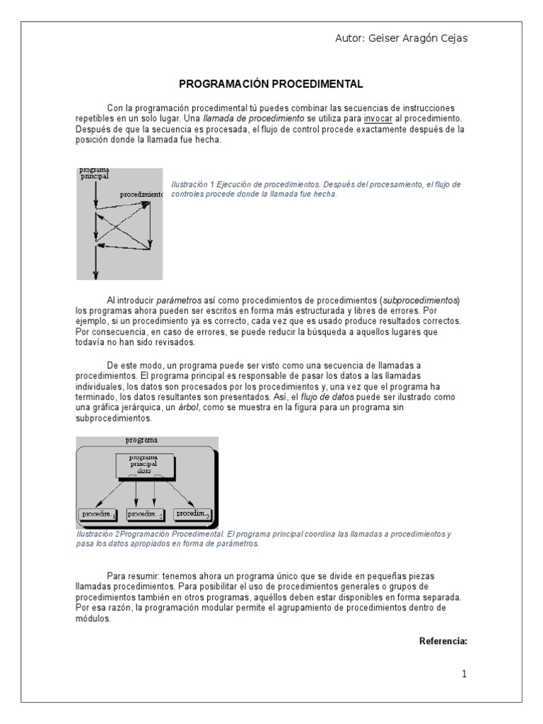 Introducción a la Programación Procedimental | PDF | Programacion ...
