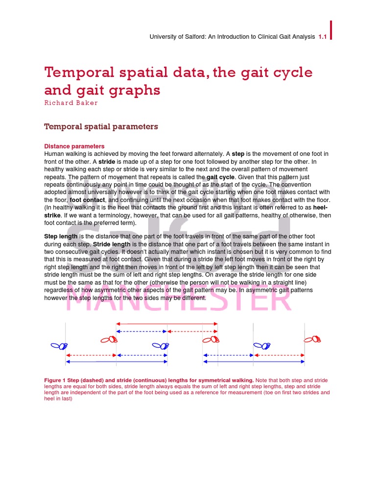 Temporal Spatial Data, The Gait Cycle and Gait Graphs Introductory ...