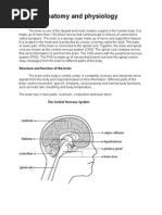 Bleed Vs Infarct Comparison | PDF | Nervous System | Neuroanatomy