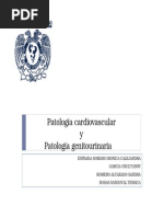 Criterios de Jones para Fiebre Reumática | PDF | Ciencias de la Salud ...