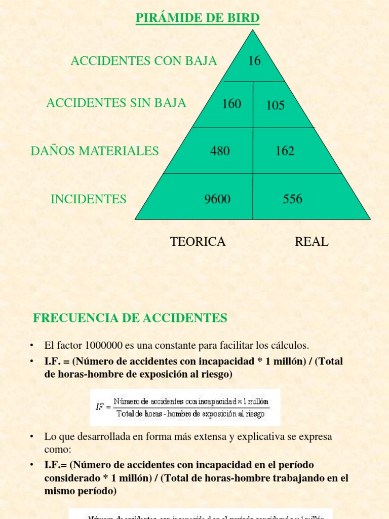 Piramide Bird 1 | PDF | Naturaleza | Science