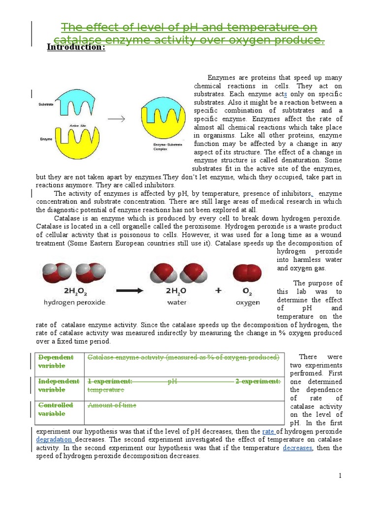 Enzyme Report | PDF | Catalase | Peroxide