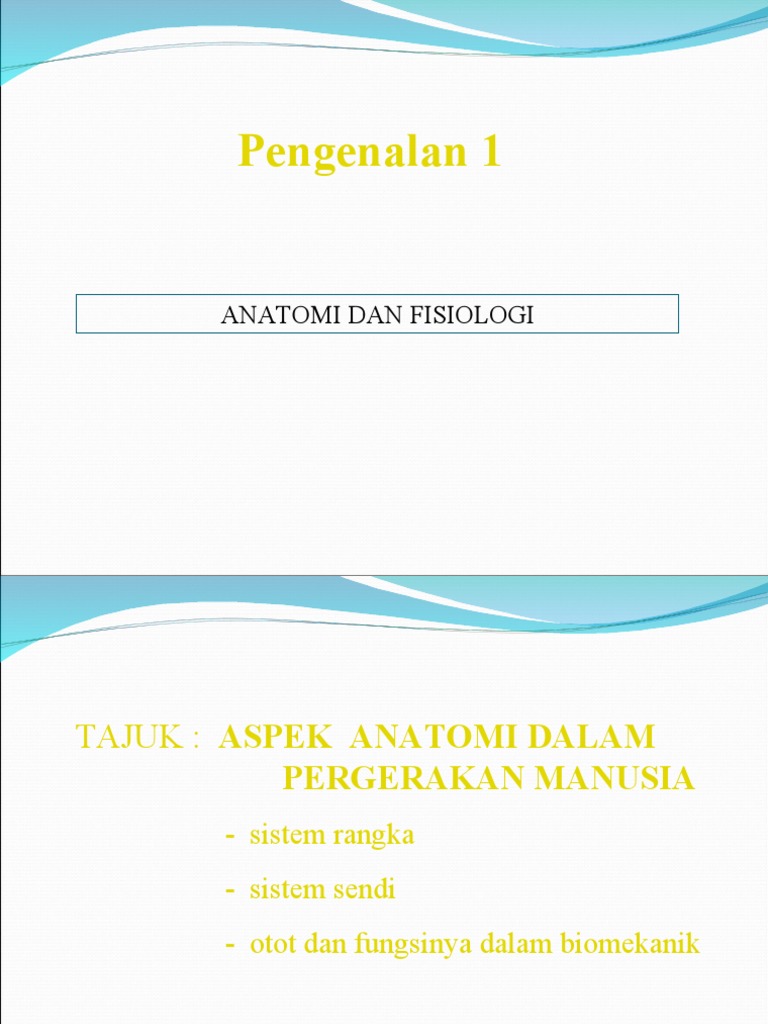 Anotomi & Fisiologi | PDF
