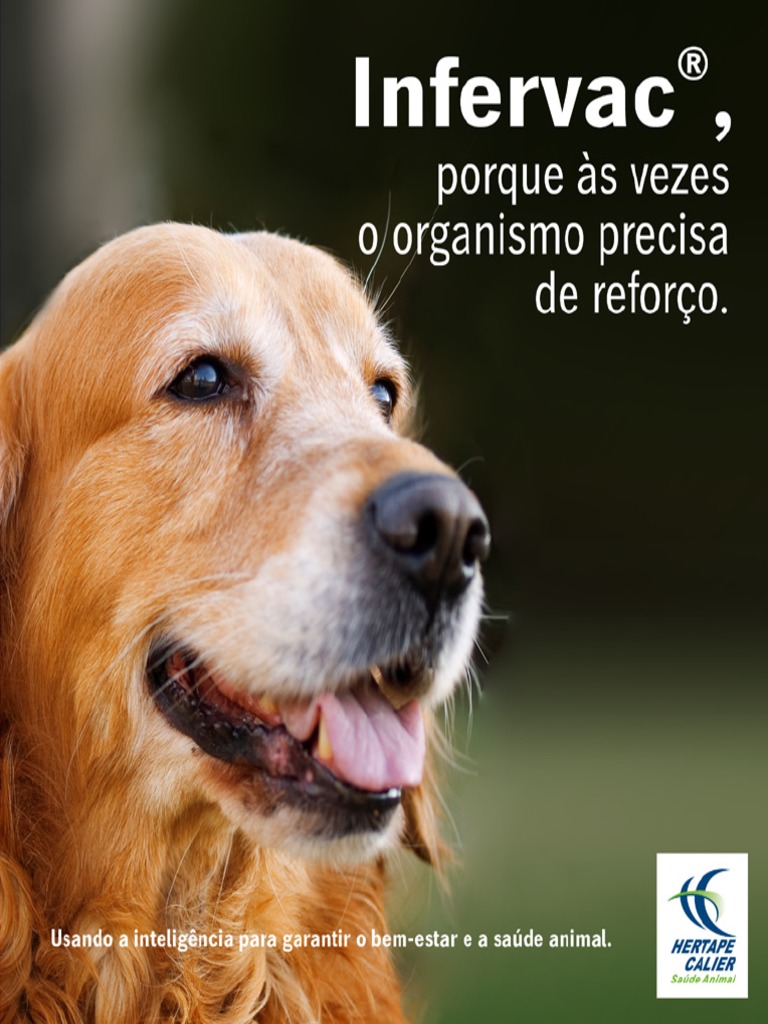 INFERVAC | PDF | Sistema imunológico | Doenças e distúrbios