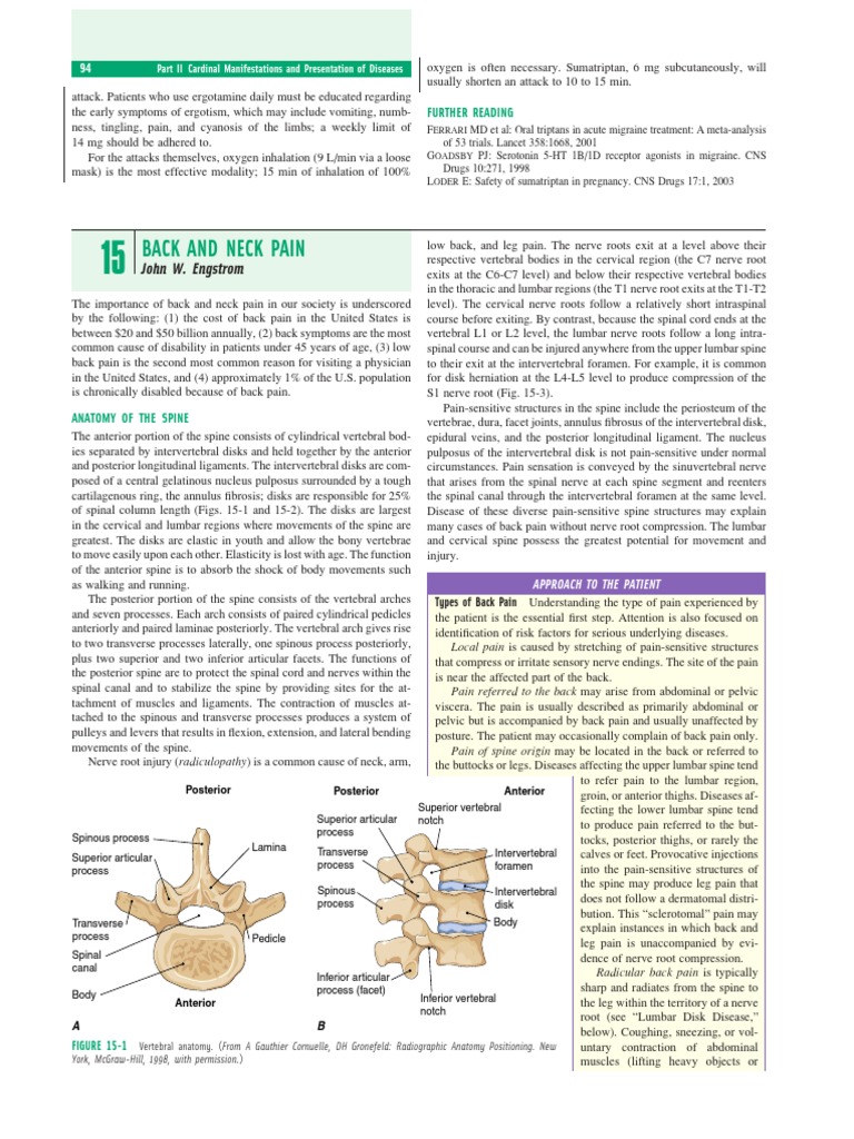 Back and Nexk Pain | PDF | Vertebra | Vertebral Column