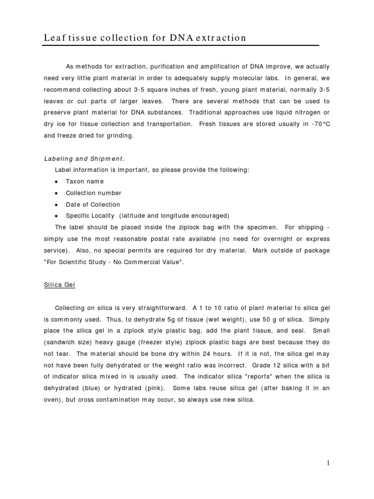 Leaf Tissue Collection For DNA Extraction | PDF | Freeze Drying | Chemistry