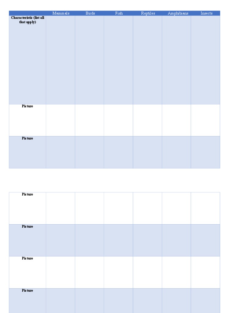 Student Copy Classification Table | PDF