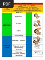 Escala ECOG | PDF | Salud y bienestar