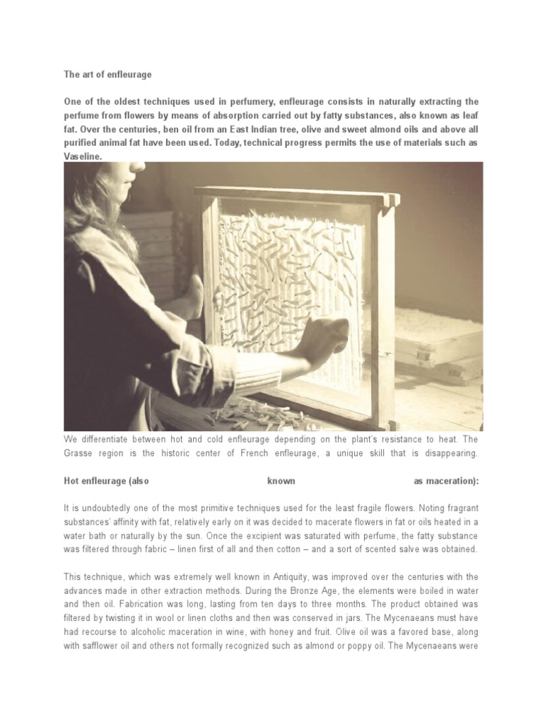 The Art of Enfleurage | PDF | Perfume | Flowers