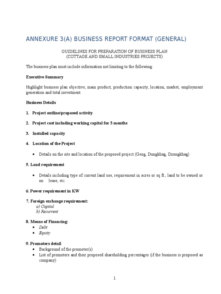 Annexure 3a Business Report Format General 1dec | PDF | Business Plan ...