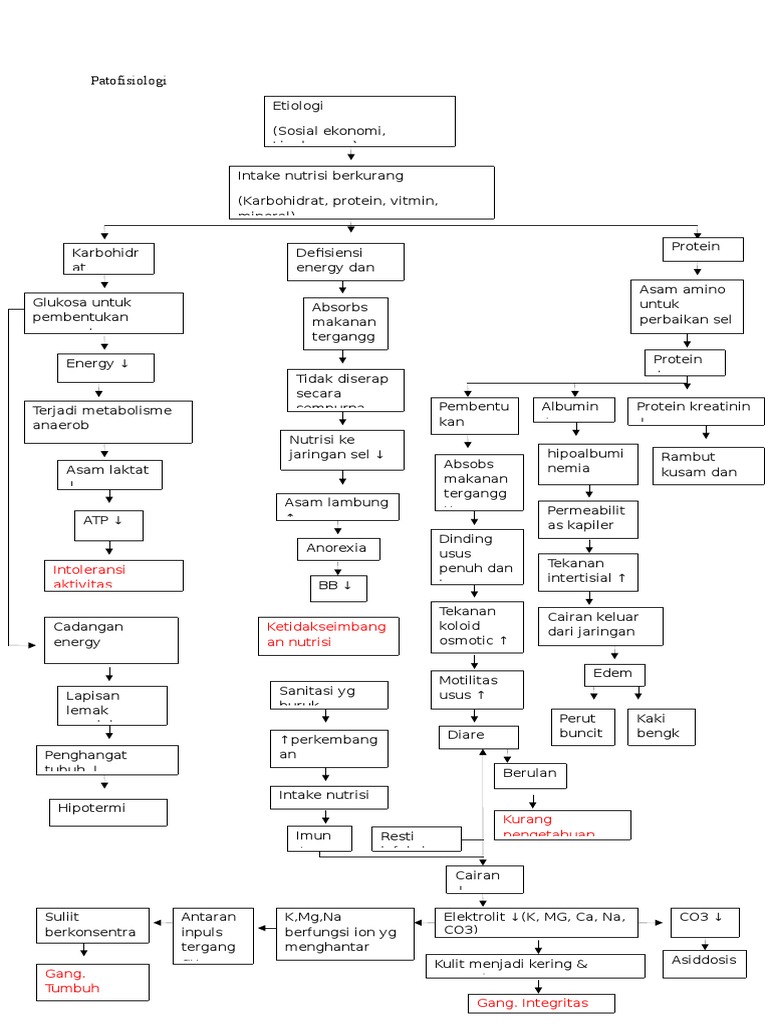 Patofisiologi Malnutrisi dan Dampaknya | PDF