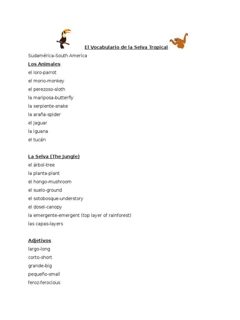 El Vocabulario de La Selva Tropical | PDF