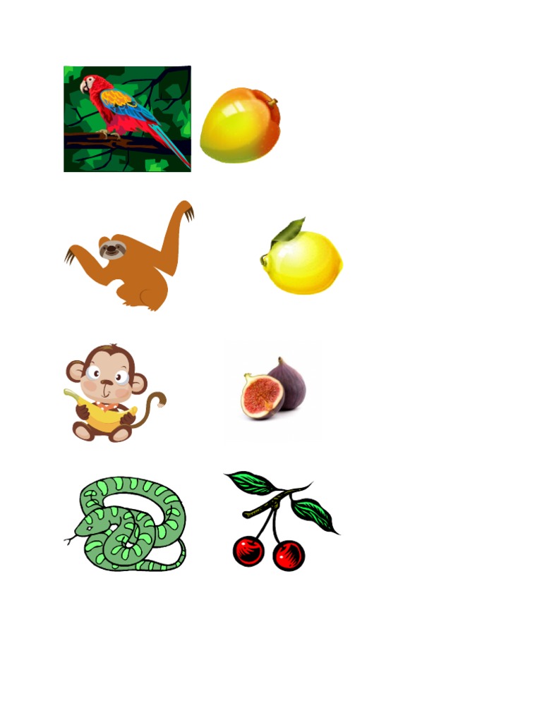 Card Pictures For Tico Tango | PDF