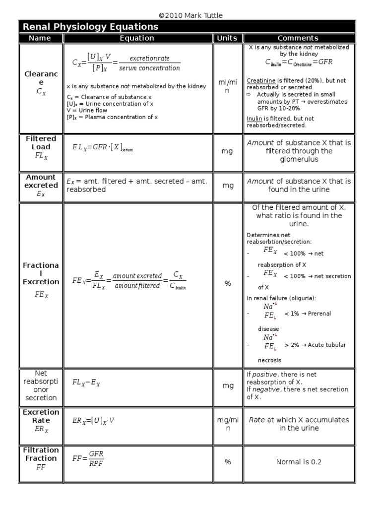 Renal Physiology Equations | Renal Function | Kidney
