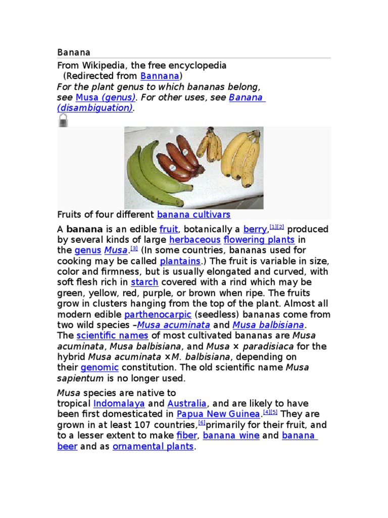 Bannana Musa (Genus) : For The Plant Genus To Which Bananas Belong, See ...