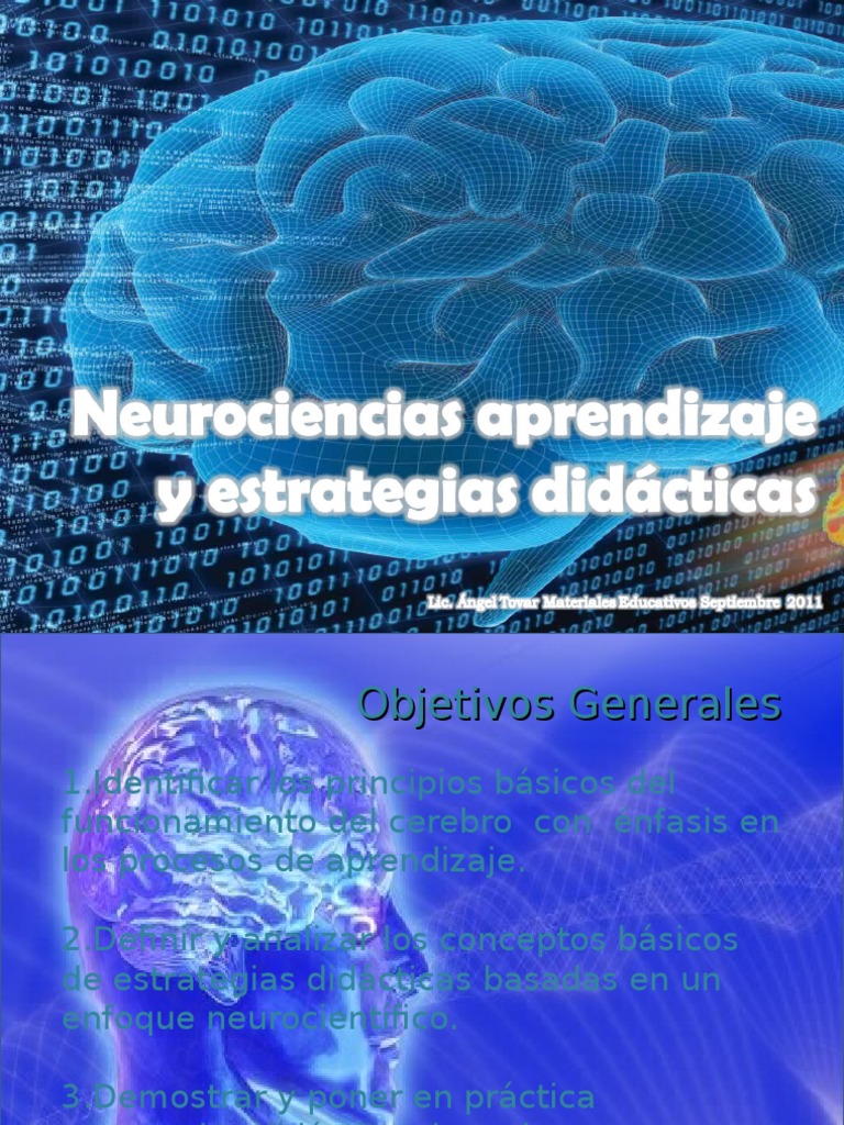 Estrategias de Aprendizaje Basadas en Neurociencias Cognitivas | PDF | Cerebro | Serotonina