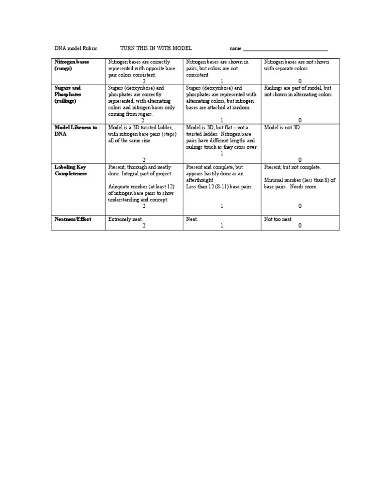 Dna Model Rubric | PDF | Teaching Methods & Materials | Home & Garden