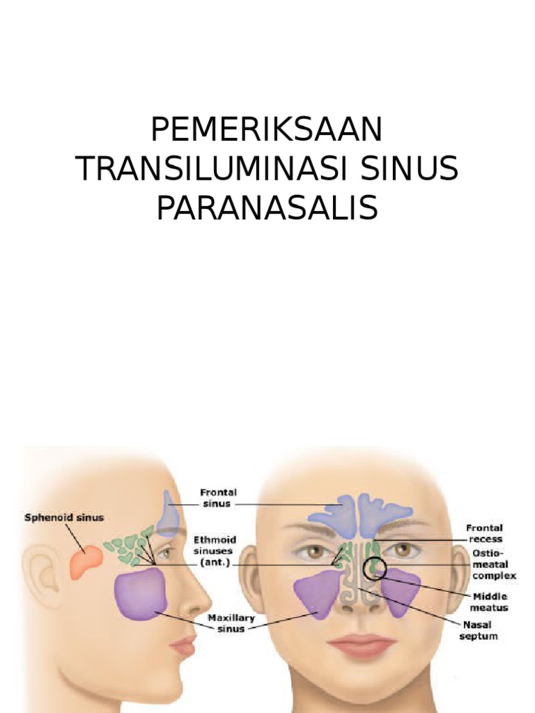 Pemeriksaan Transiluminasi Sinus Paranasalis | PDF