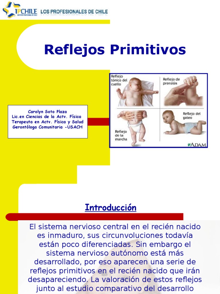 Reflejos Primitivos | PDF | Cerebro | Neurociencia