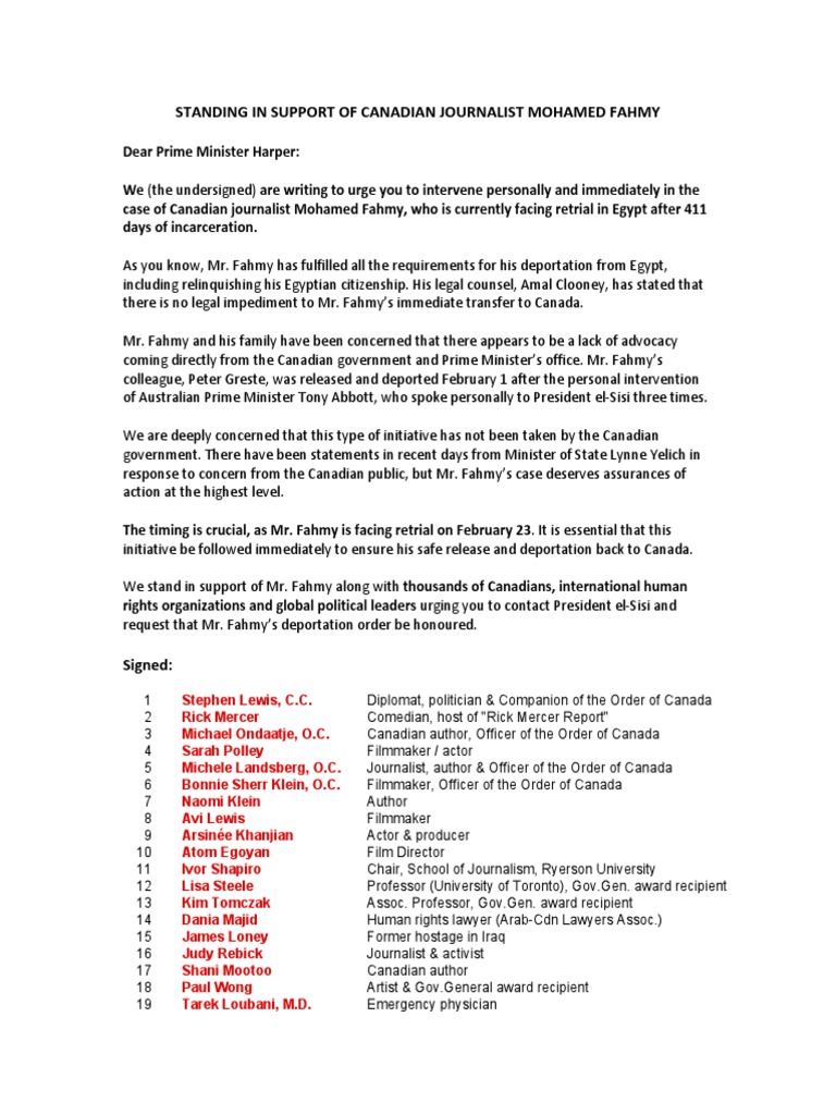 Support for Journalist Mohamed Fahmy | PDF