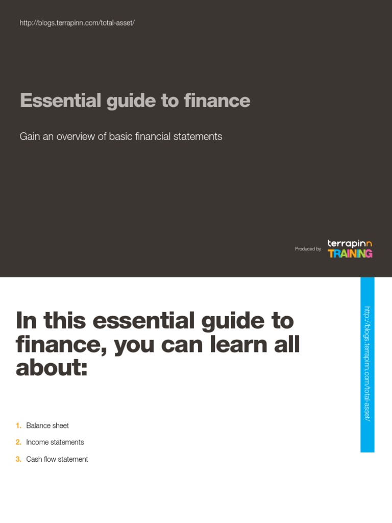 Essential Finance Statements Guide | PDF | Equity (Finance) | Balance Sheet